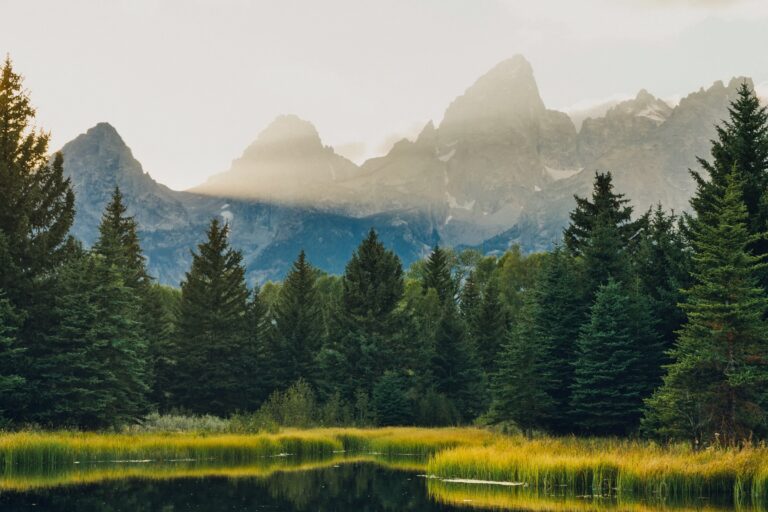 Are Park Rangers Cops? Understanding Their Role and Authority - Park ...