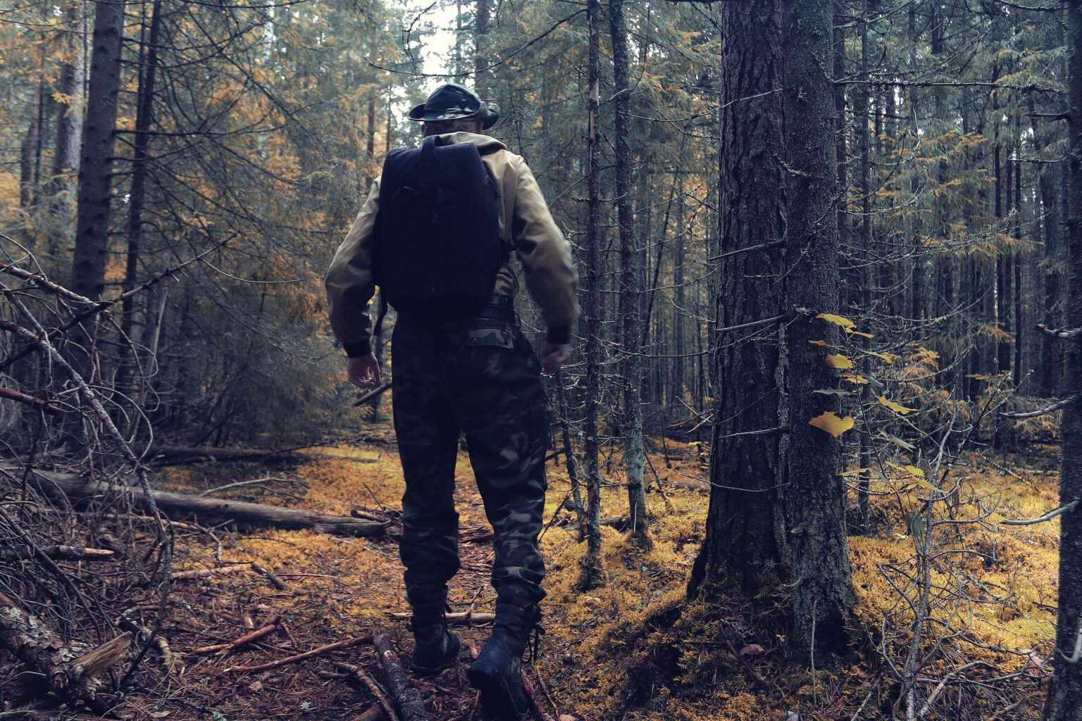 Park Ranger vs Forest Ranger: Exploring the Distinctive Roles and Paths ...